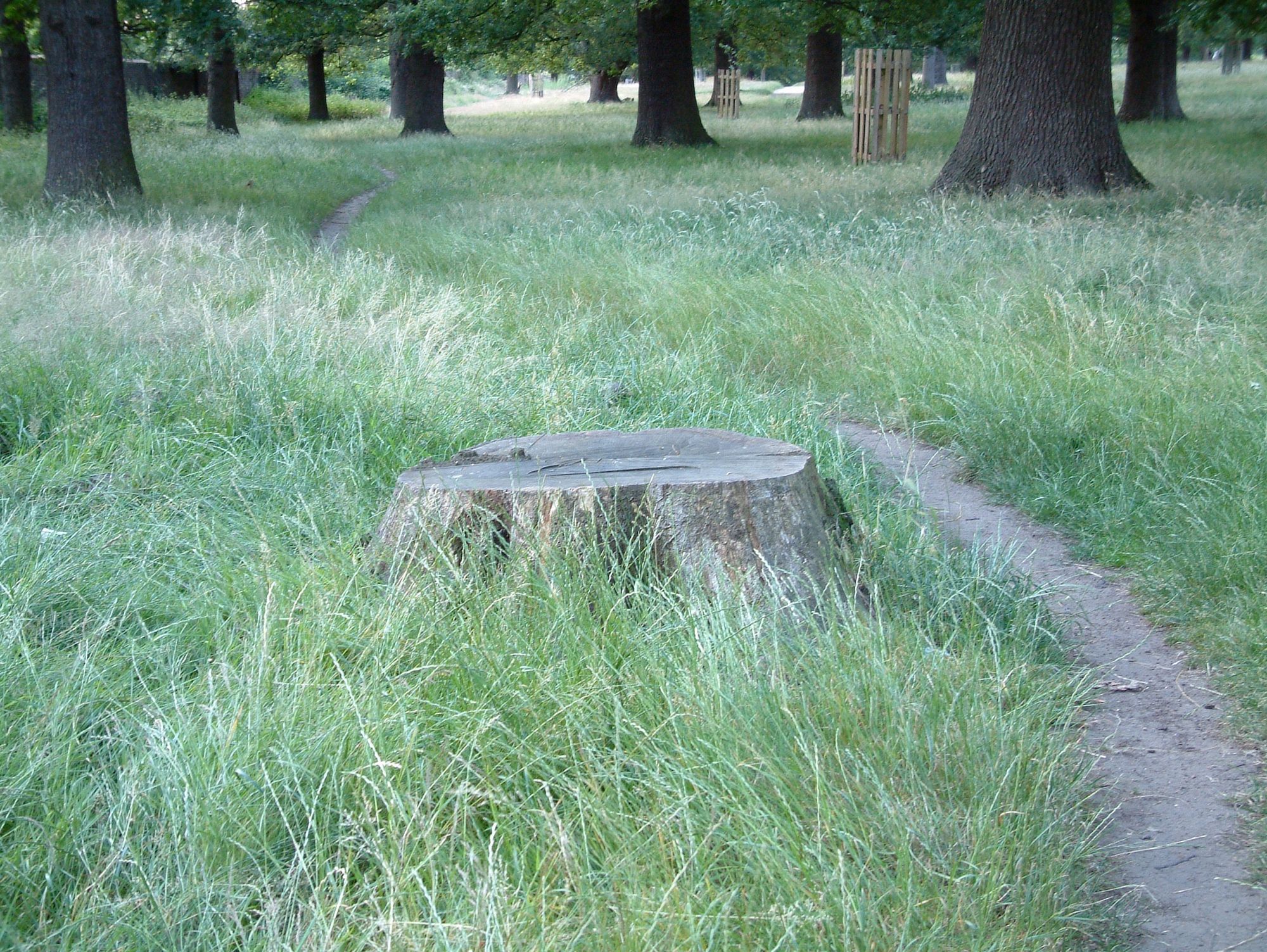 Jamie Booth - Blog sub Random